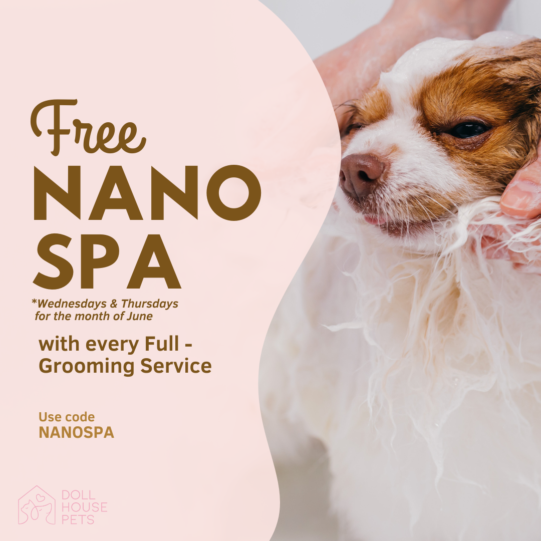 Ongoing Offers – Dollhouse Pets