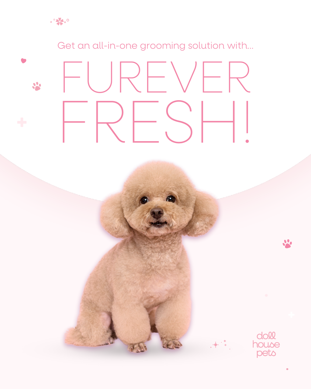 Furever Fresh Package! 💝 – Dollhouse Pets